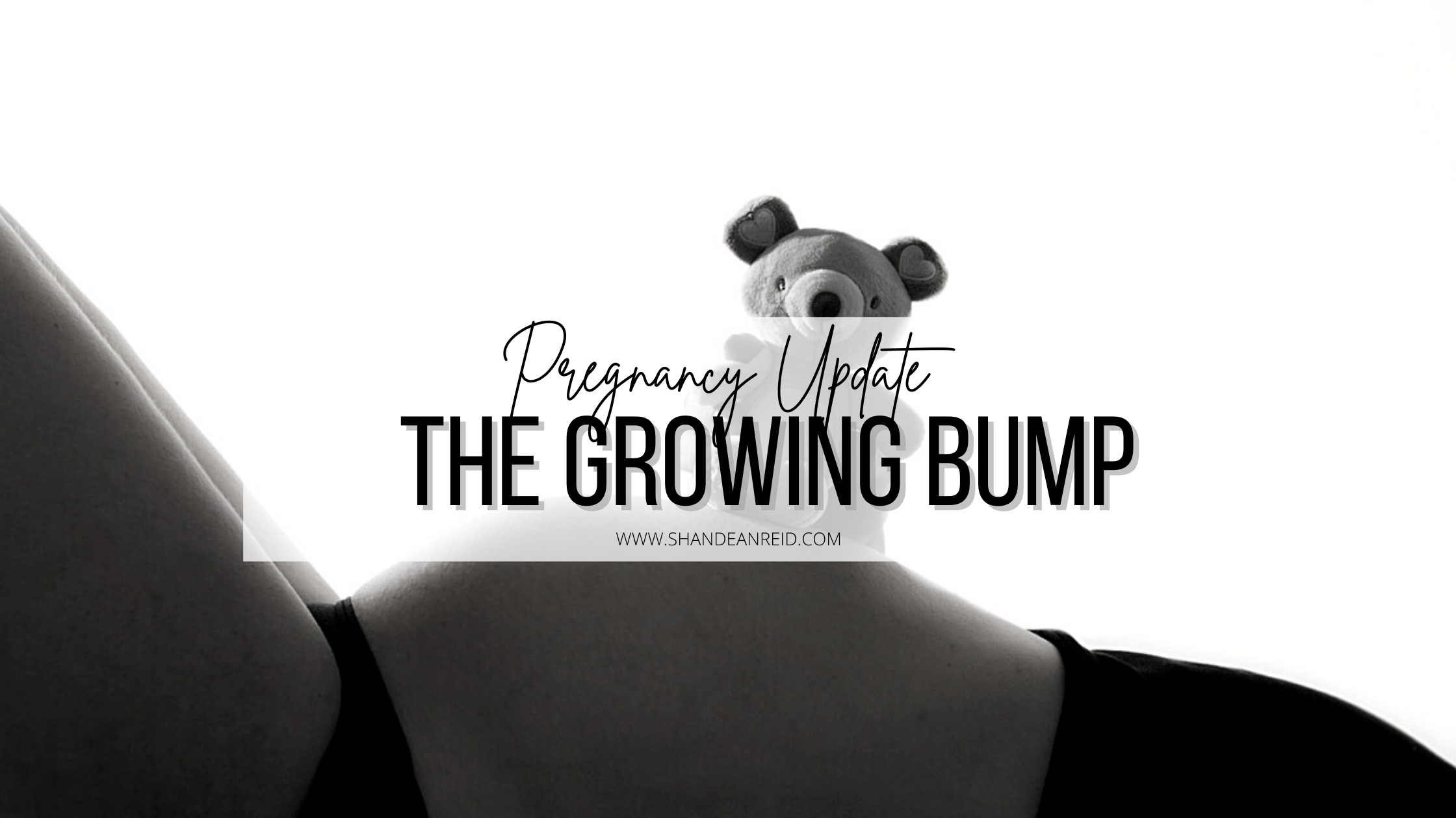 Pregnancy Update: The Growing Bump - Shandean R. | Home & Family